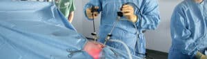 Laparoscopic ovariectomy (Keyhole spay) - NDSR