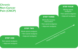 Gabapentin and Pregabalin as Analgesics - NDSR