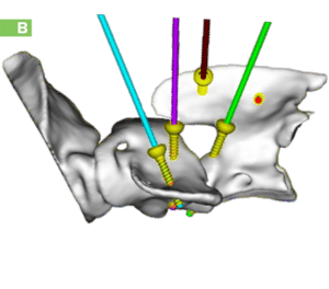 Canine Atlantoaxial Instability - NDSR