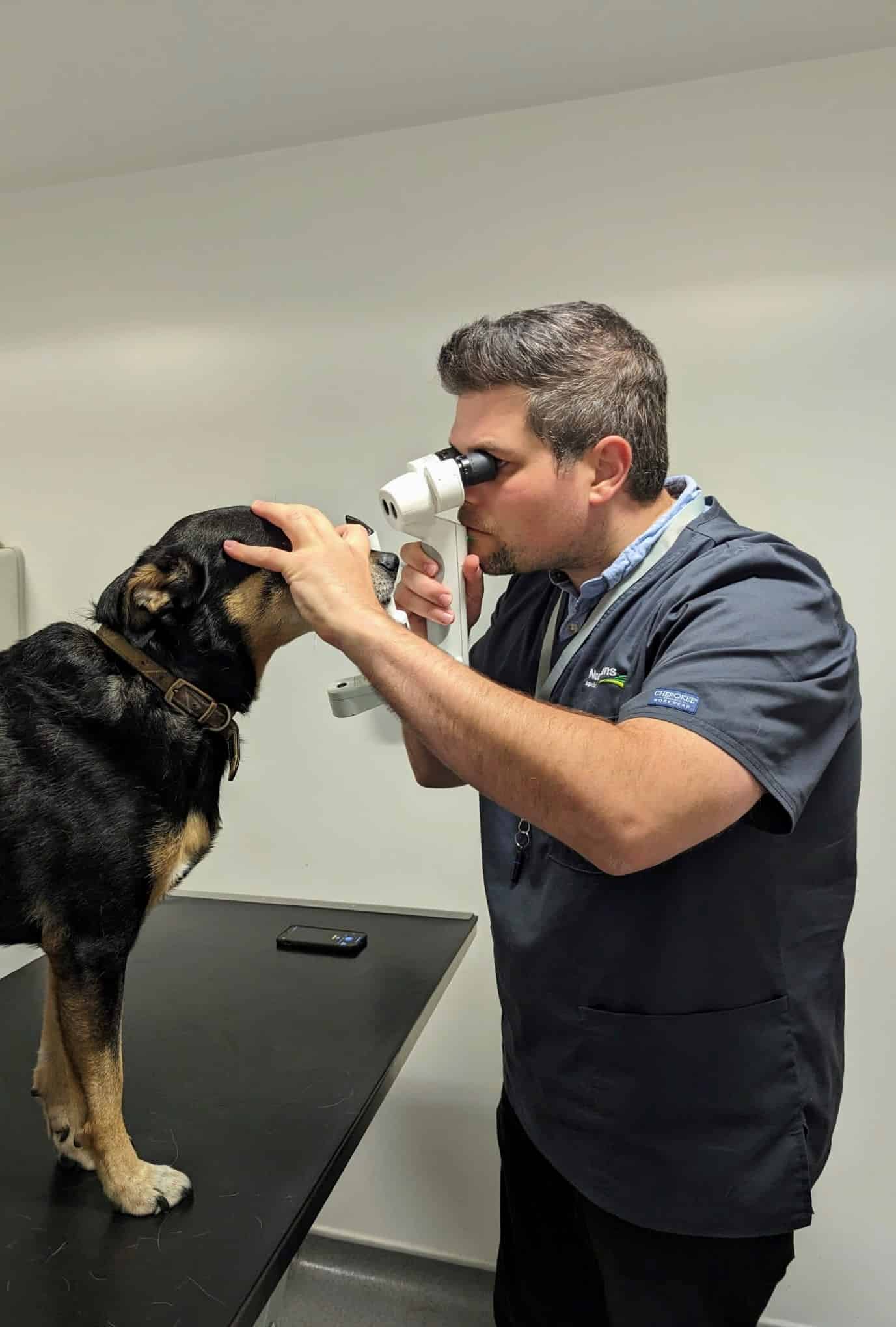 Vet given clear vision | NDSR | Redhill | NDSR