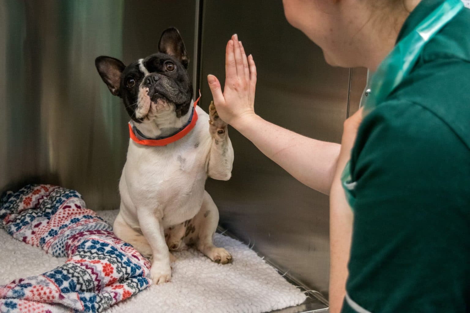 Outstanding | NDSR | Redhill