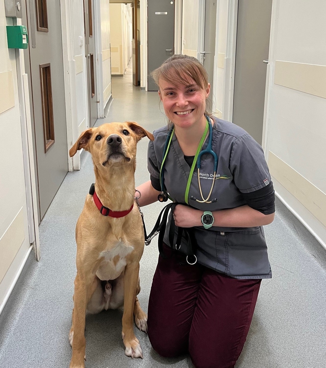 Annabel Joins the Medicine Team | NDSR | Redhill