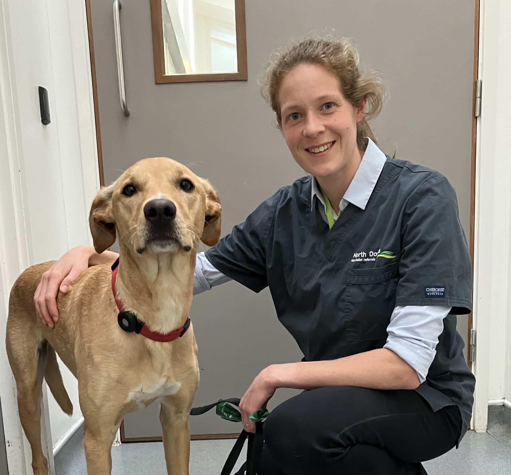 Launch of screening service for inherited eye disease - NDSR