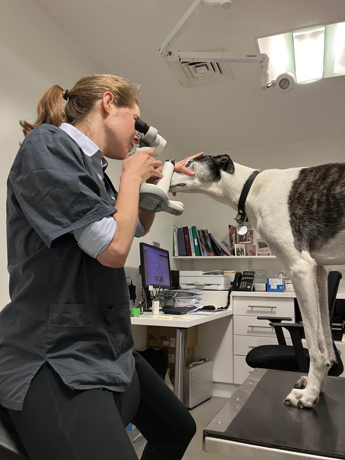 Launch of screening service for inherited eye disease - NDSR