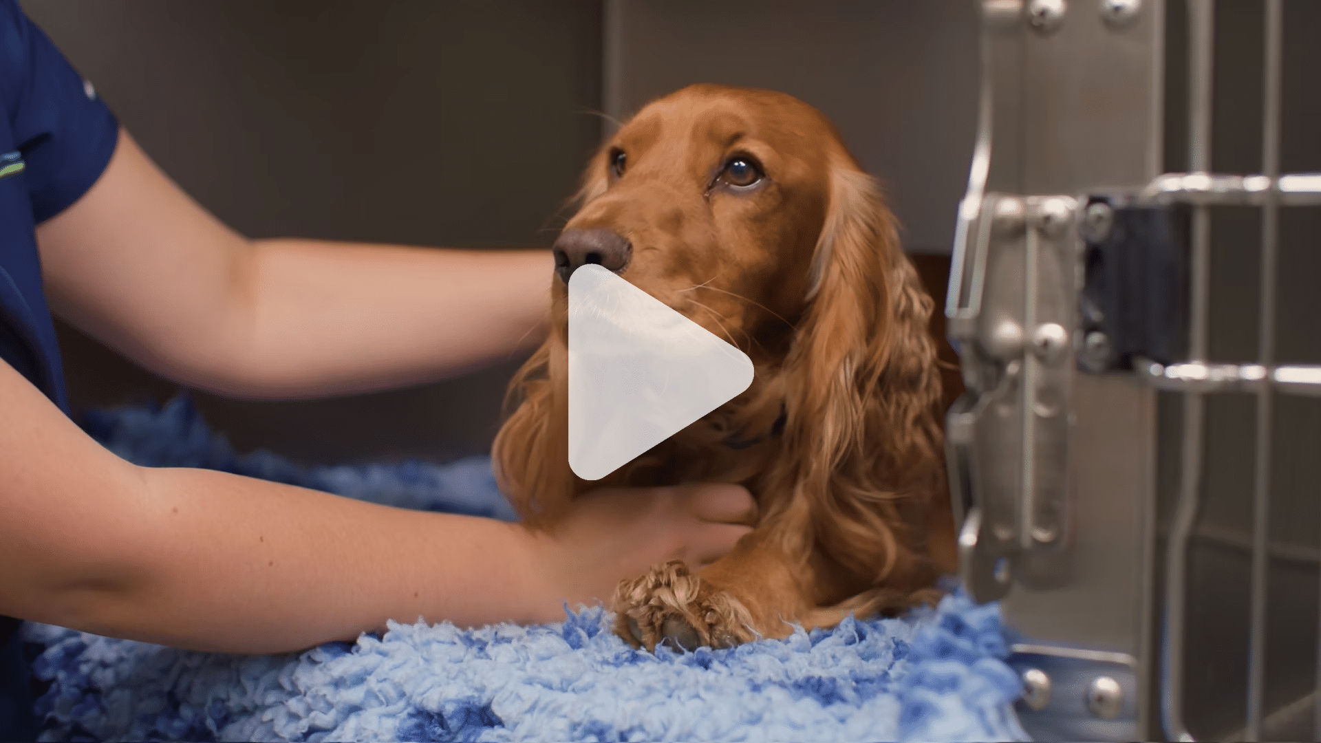 North Downs Specialist Referrals (NDSR) London